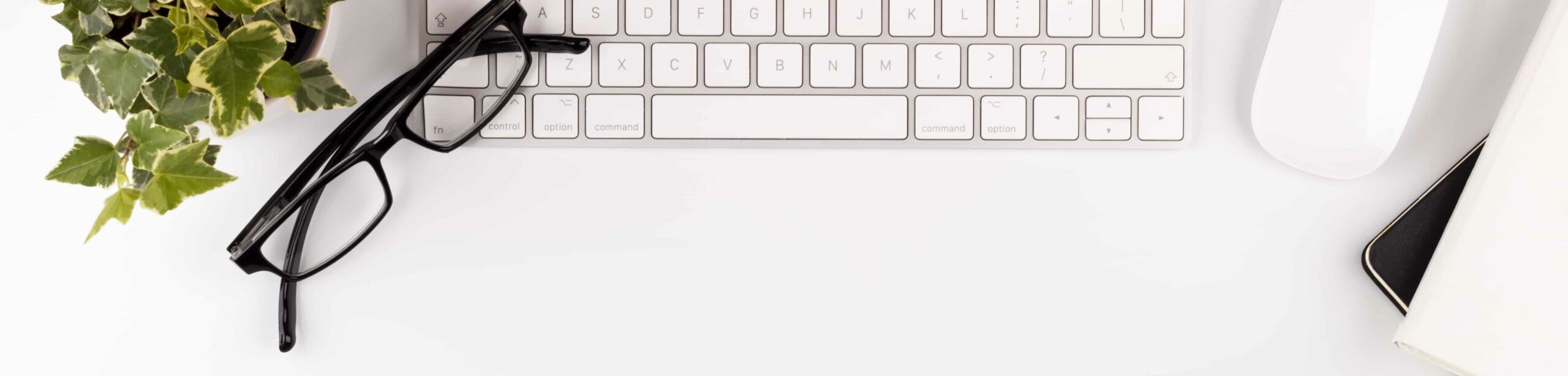 Thank you for contacting us - Orad